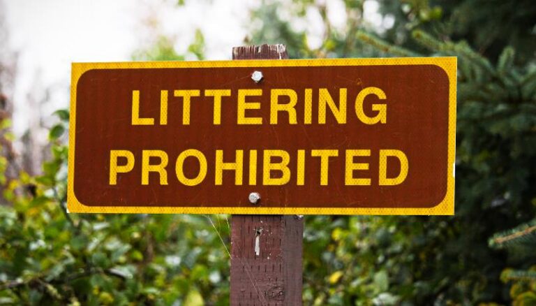 How Can the Effects of Littering Be Prevented? | Snappy